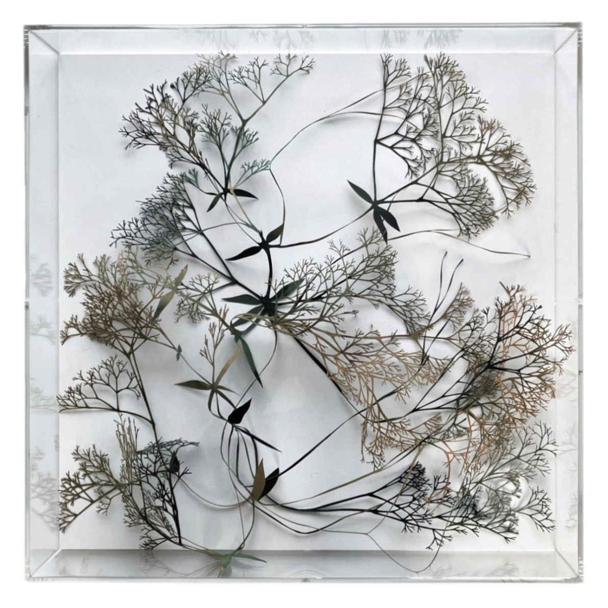 ADAM Mathieu – Maznel