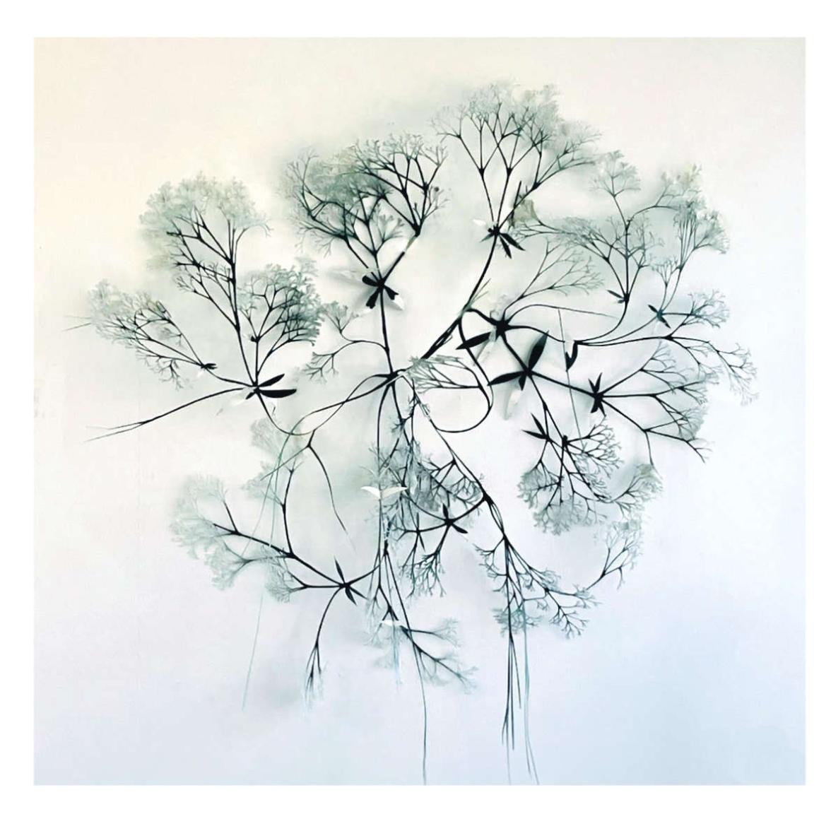 ADAM Mathieu – Maznel